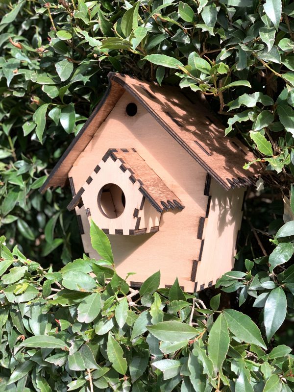 Safe Bird House – Darkly Labs